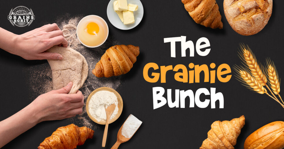 SignIn - Grains and Grit